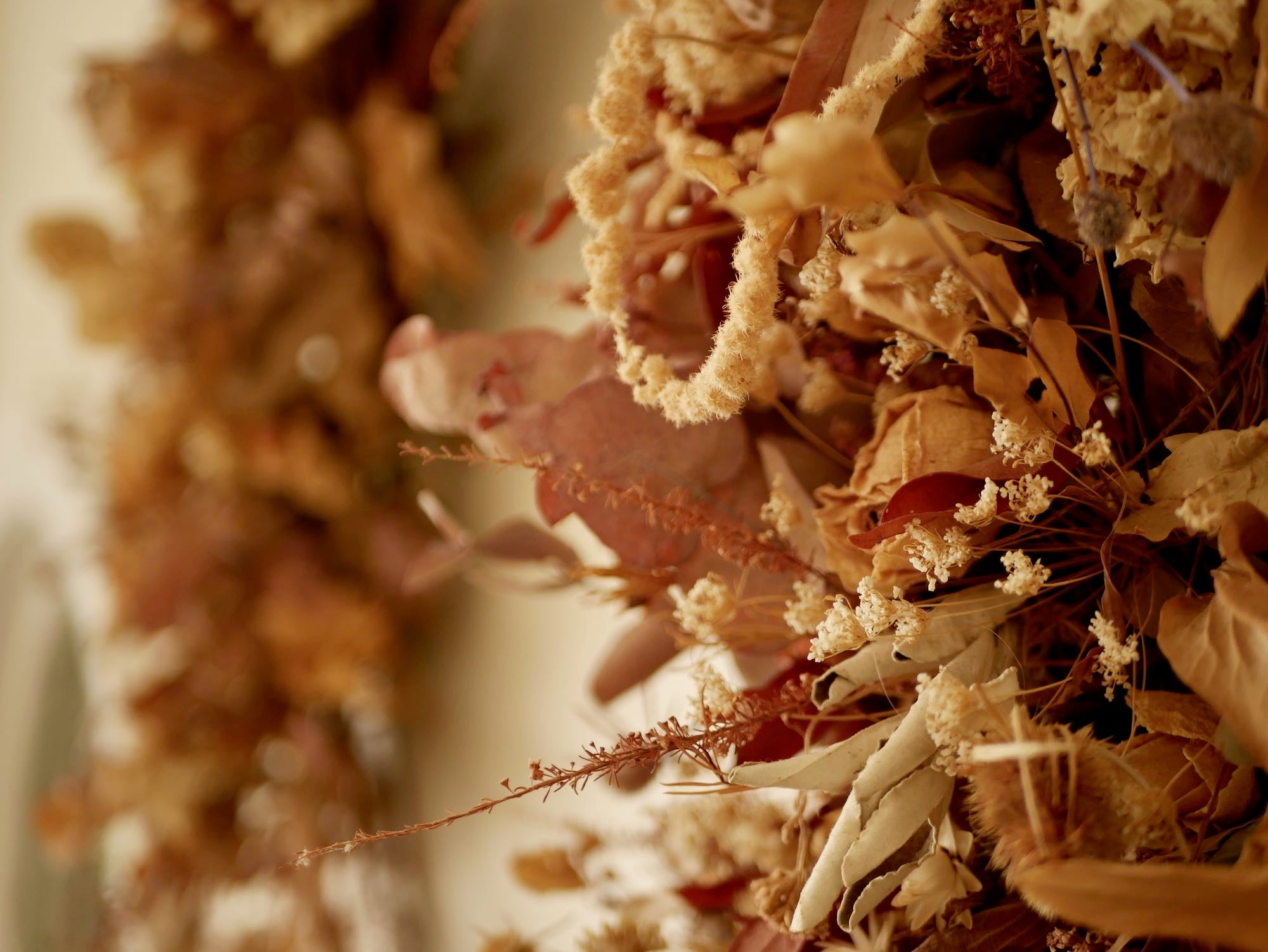 Elixir Masters of Counselling – ELIXIR